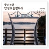 논산 탑정호출렁다리 논산11경 음악분수 등 볼거리 많은 우리나라에서 제일 긴 출렁다리 네이버 블로그